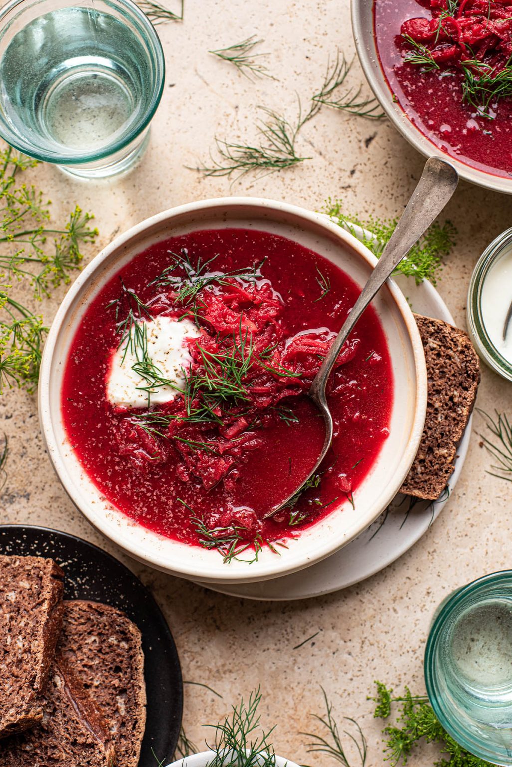 Vegetarian Borscht - Occasionally Eggs