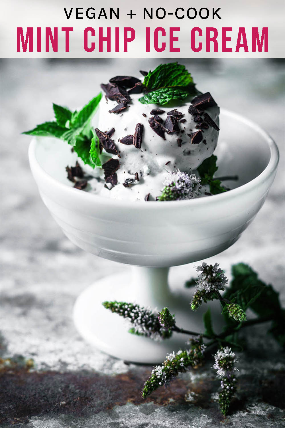 Vegan Mint Chocolate Chip Ice Cream - Occasionally Eggs