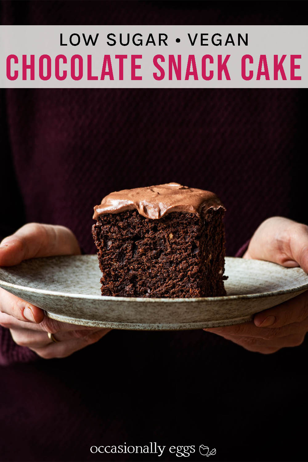 Chocolate Snack Cake - Occasionally Eggs